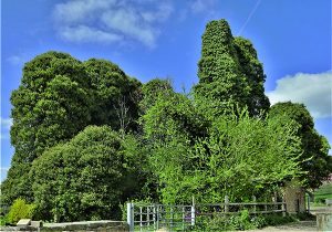 The Lost Houses of Derbyshire - Eastwood Hall, Ashover | Country Images ...