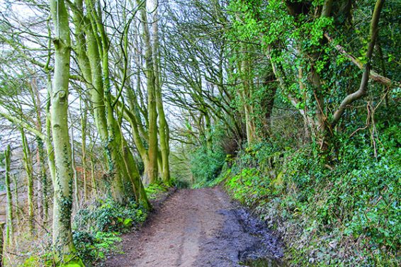 Walk Derbyshire – A Walk Above Matlock – Country Images Magazine