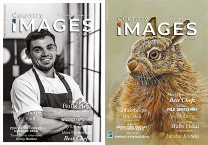 Lost Houses – Stainsby House – Country Images Magazine